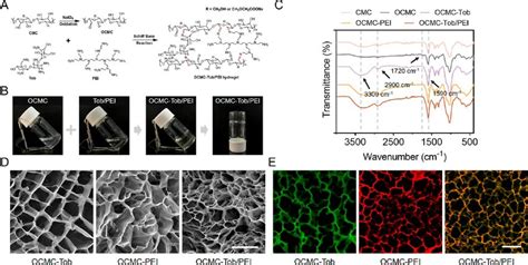 Synthesis Structure And Morphological Characterization Of Bioactive