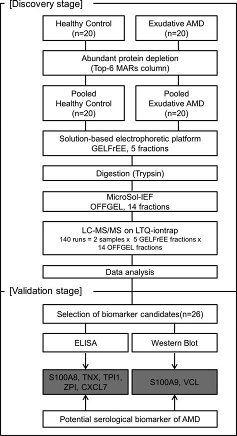Flow Chart Of The Proteomic Analysis Of Plasma Samples With Download Scientific Diagram