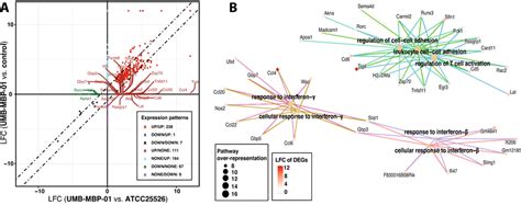 Transcriptome Profiling Of Intestinal Tissues In Response To Atcc25526