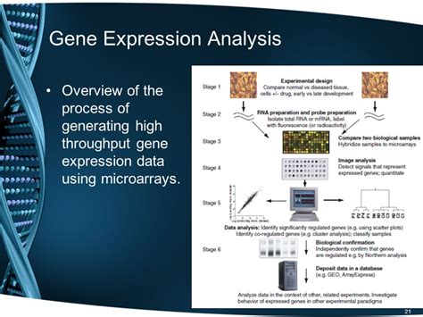 Biostatistics And Statistical Bioinformatics Ppt Download