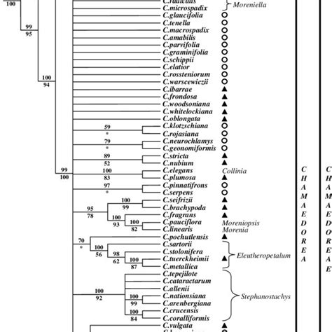 Majority Rule Consensus Tree Of The Bayesian Inference Analysis Of The Download Scientific