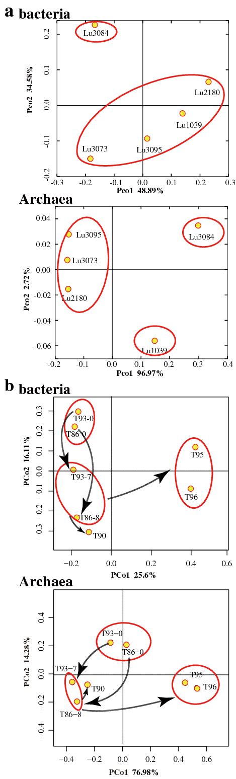 Principal Coordinate Analysis Of Microbial Communities Used To Download Scientific Diagram