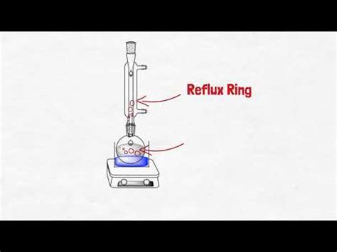 Reflux Chemistry Laboratory Technique Youtube