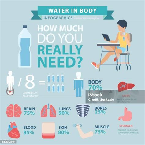 본문 주제 Infographics 개념에서 평면 스타일 물입니다 병 뇌 바디 폐 뼈 피부 근육 위 간 정보 그래픽 혈액 웹 사이트 개념도 Infographic 컬렉션입니다