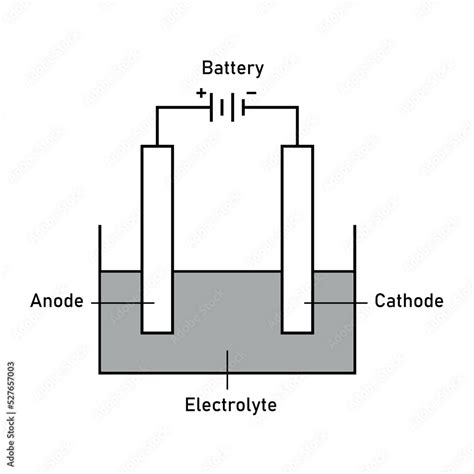 Electrochemical Cell Diagram Voltaic Cells Stock Vector Adobe Stock