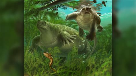 Prehistoric Giant Amphibians