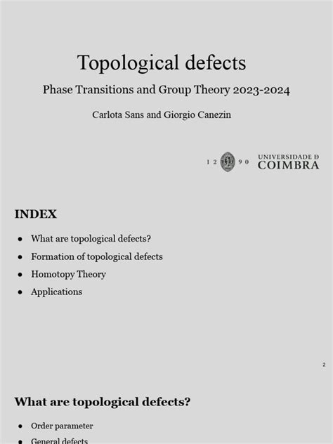 Topological Defects Pdf