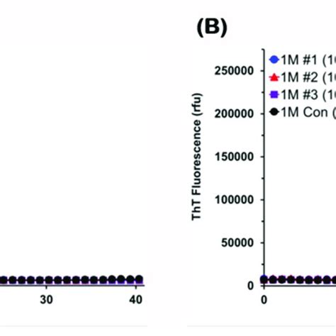 Summary Of The α Syn Rt Quic Assay For Brains And Colons Of G2 3 Mice Download Scientific Diagram