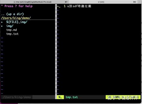 Vim 多文件操作 知乎