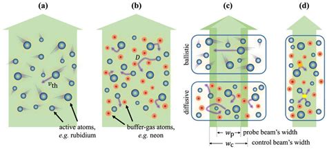 Motional Broadening Of Eit In Atomic Vapor A Atoms In Ballistic Download Scientific Diagram