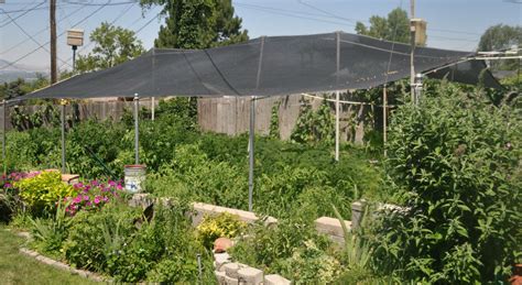 High Screen Power Garden Shade Netting For Courtyard Hdpe With Uv