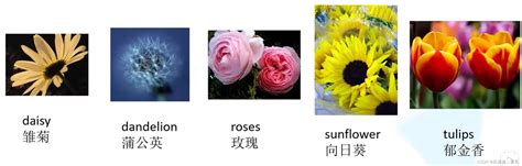 使用pytorch搭建alexnet网络模型使用pytorch实现经典模型alexnet并在至少一个数据集进行试验分析 Csdn博客