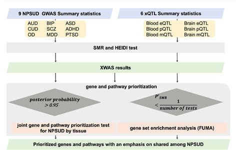 Table 1 From Identifying Potential Risk Genes And Pathways For Neuropsychiatric And Substance