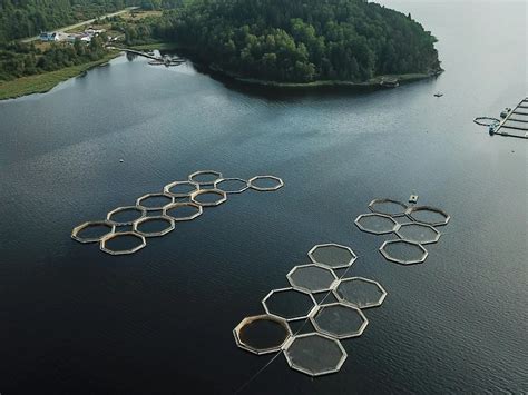 ADCP Applications In Fisheries And Aquaculture China Sonar