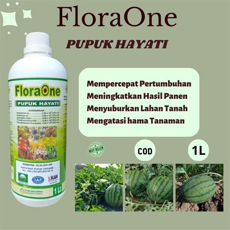 Jual Pupuk Pgpr Perangsang Pertumbuhan Tanaman Pupuk Organik Hayati Trichoderma Pupuk Pgpr