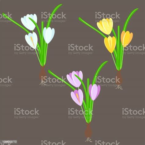 크 로커 스입니다 노란색이 됩니다 검은 배경에 블루 바이올렛 봄 꽃 녹색 잎 0명에 대한 스톡 벡터 아트 및 기타 이미지 0명 검정색 배경 귀여운 Istock