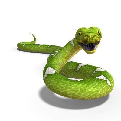 Python Path Windows Trockii