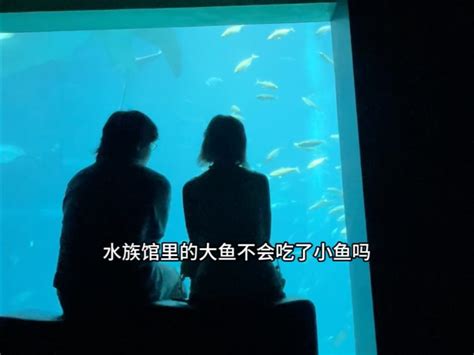 双方父母第一次见面，但我俩走神了 阿兰回声 阿兰回声 哔哩哔哩视频