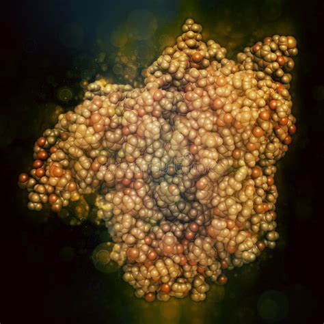 Protein Synthesis 3d Stock Illustrations 962 Protein Synthesis 3d