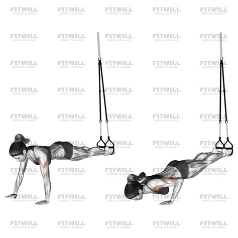 Suspension Push Up Exercise Guide Video Techniques Benefits How To Muscles Worked Tips