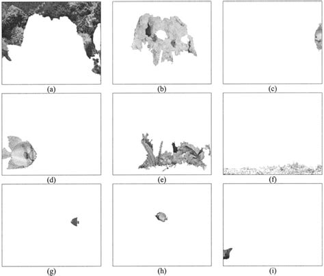Object Extraction After Segmentation Fusion For The Aqua Sequence Download Scientific Diagram