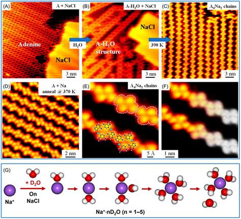 Water‐induced Dissolution Of Nacl On Au 111 [⁵⁷] Top Panel And Download Scientific Diagram
