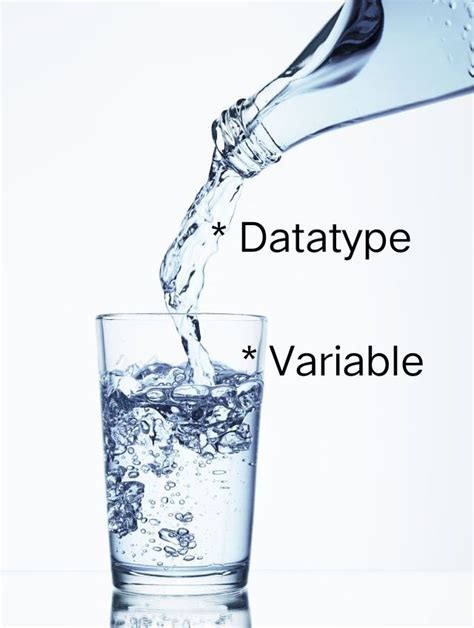 Python Programming Coding Datatypes Variables Learnpython