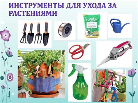 Уход за растениями картинки для детей