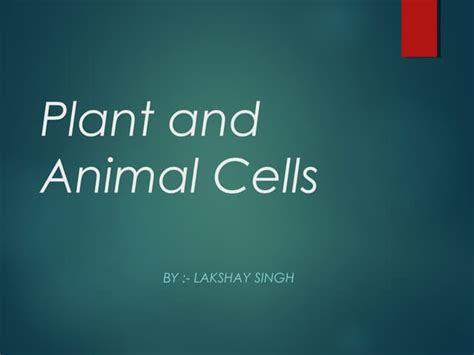 Cell Ppt