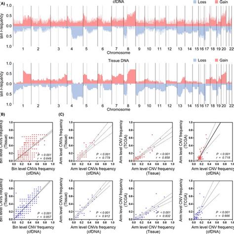 Comparison Of Copy Number Variations Cnvs Between Circulating Free Download Scientific