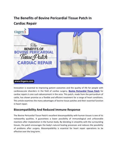 Ppt The Benefits Of Bovine Pericardial Tissue Patch In Cardiac Repair