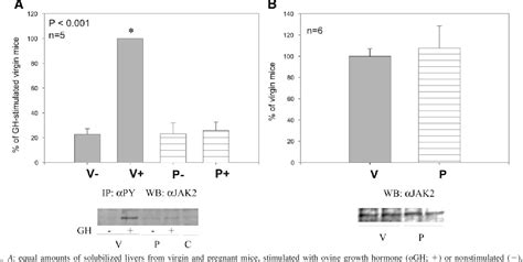 Figure 1 From Desensitization Of The Jak2 Stat5 Gh Signaling Pathway Associated With Increased