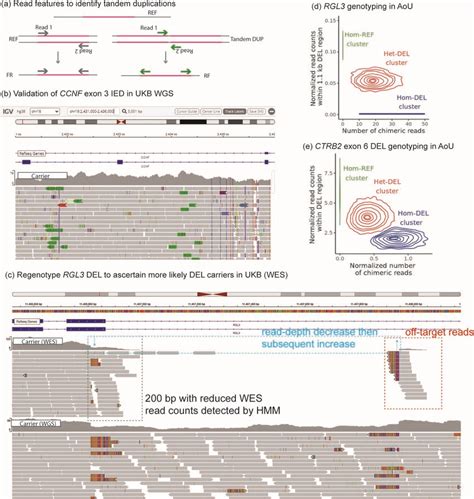 Additional Cnv Genotyping At Key Loci A Schematic Of Discordant Wgs Download Scientific