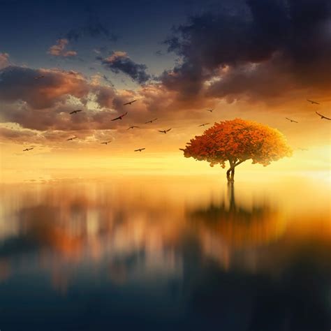 Ipad Air Wallpaper 2048x2048 Nature