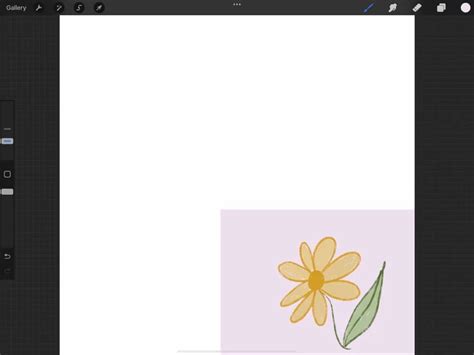 The Best Canvas Size For Procreate Ebb And Flow Creative Co