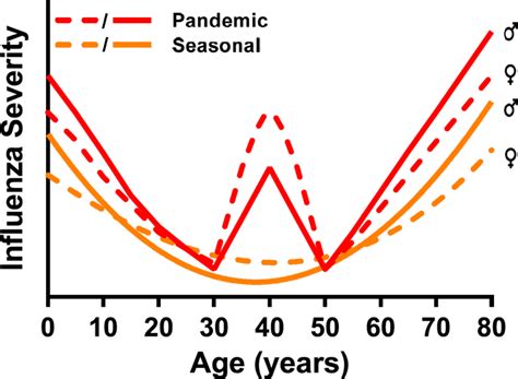 Sex And Sex Steroids Impact Influenza Pathogenesis Across The Life