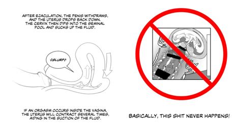 Rule 34 After Sex After Vaginal Anatomy Censor Bar Censored Censored