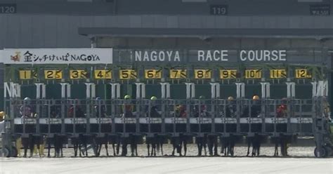 1110名古屋競馬と闘うnote6rパドック後予想｜馬人all The People