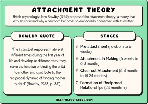Attachment Theory Types Explained At Deborah Simmons Blog