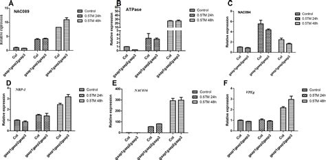 Xiaohan Tangs Instagram Twitter And Facebook On Idcrawl