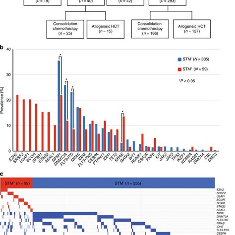 flow chart of the patients and genetic mutation analysis result flow