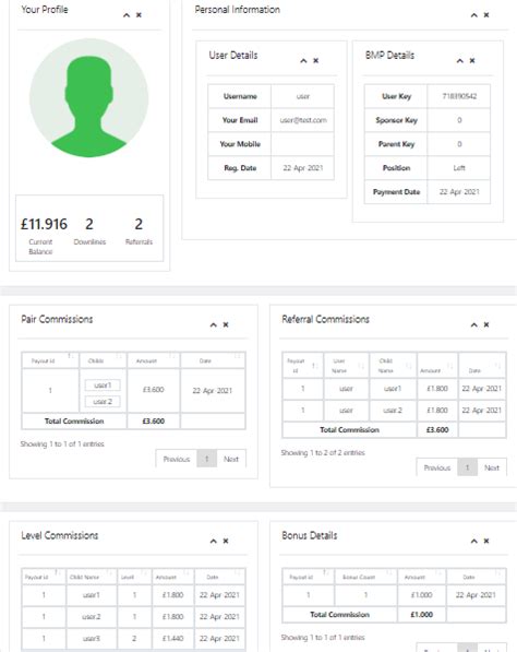 WooCommerce Binary MLM Plan Documentation LETSCMS PVT LTD