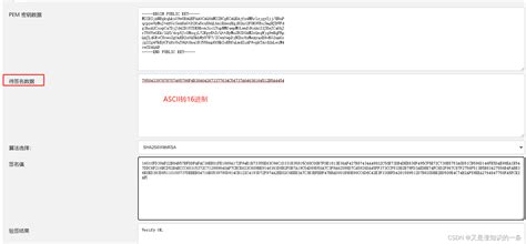 Rsa证书签名值验签rsa数字证书怎么验签 Csdn博客
