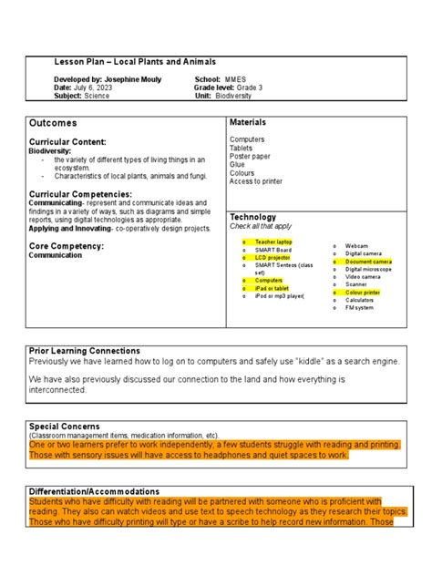 Udl Lesson Plan Pdf