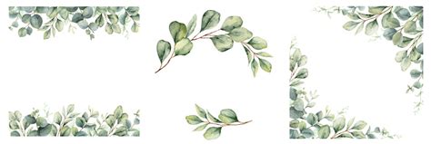 녹색 유칼립투스 잎과 가지가 있는 프레임과 화환의 수채화 세트 결혼식 초대장 인사말 카드 날짜 저장 문구 디자인을 위한 Greenery 클립아트 손으로 그린 그림입니다