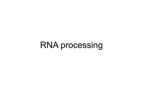 Steps For RNA Processing In General Ppt