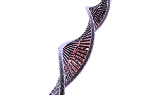 Dna Structure Biochemistry Microscopic Gene Evolution Bio Science