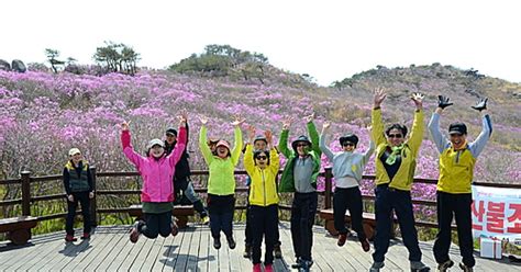 비슬산 참꽃 문화제 대구 대표 축제로