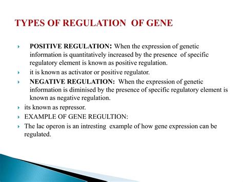 Gene Expression And Regulation Pptx