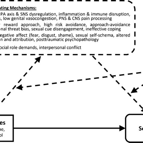 A Conceptual Model Of The Proposed Moderating Role Of Sexual Trauma On Download Scientific
